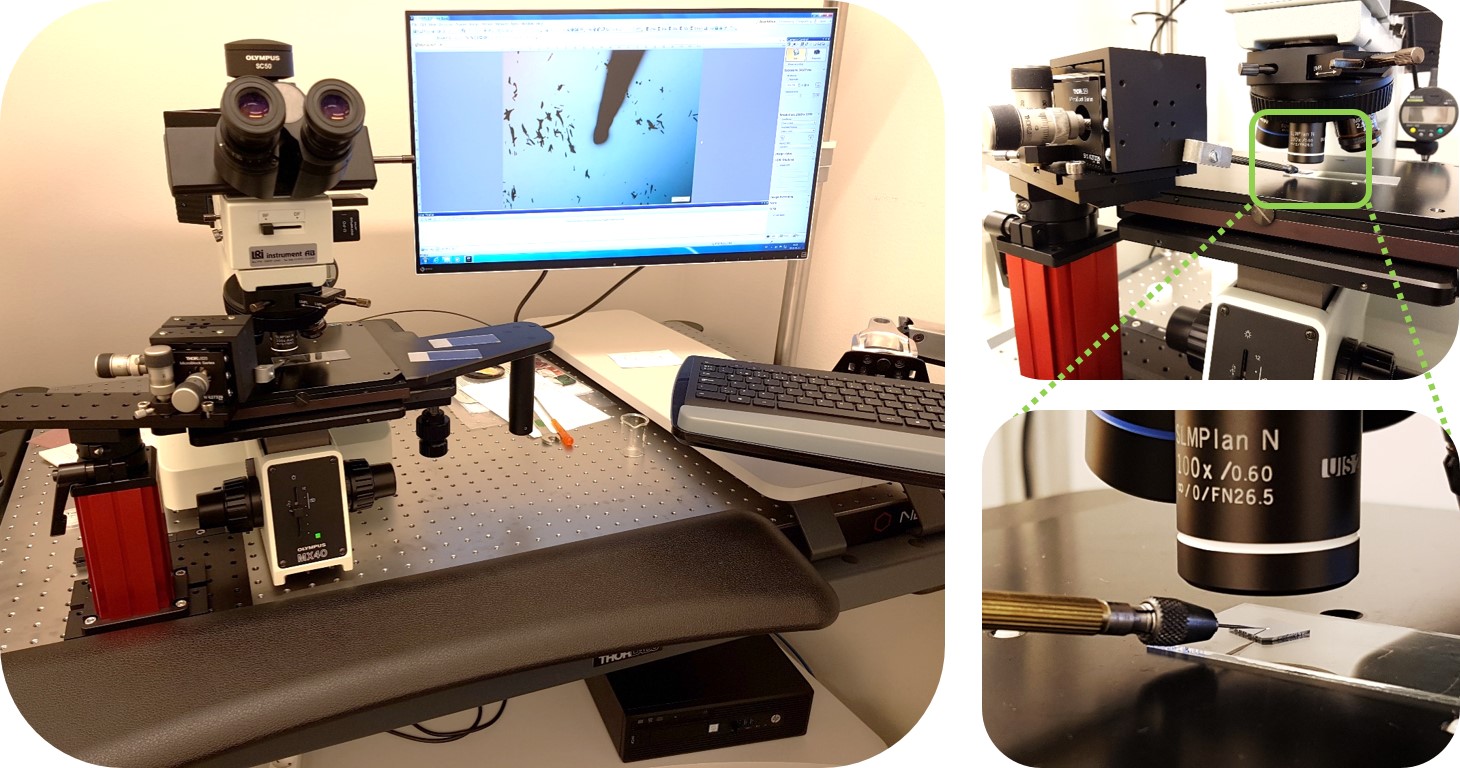 Preparation lab – MAX IV