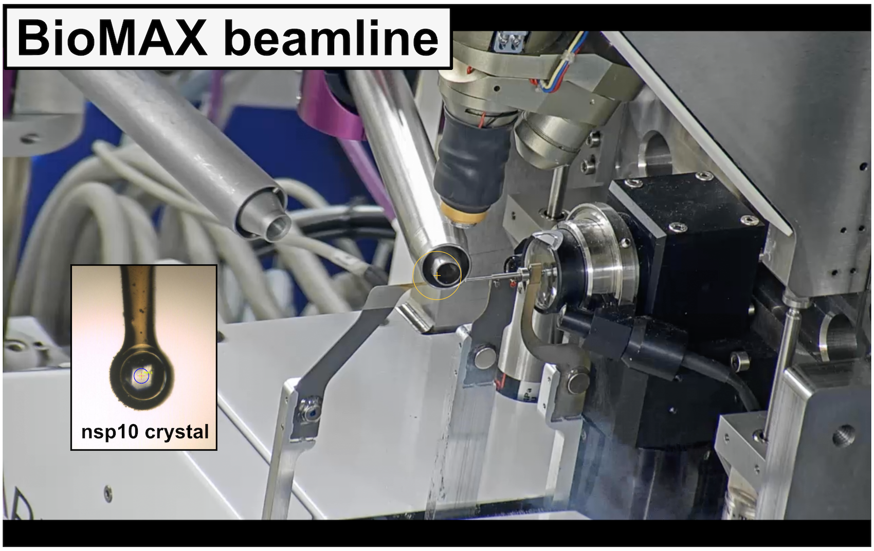 Clues to block replication of SARS-CoV-2 found with FragMAX platform ...