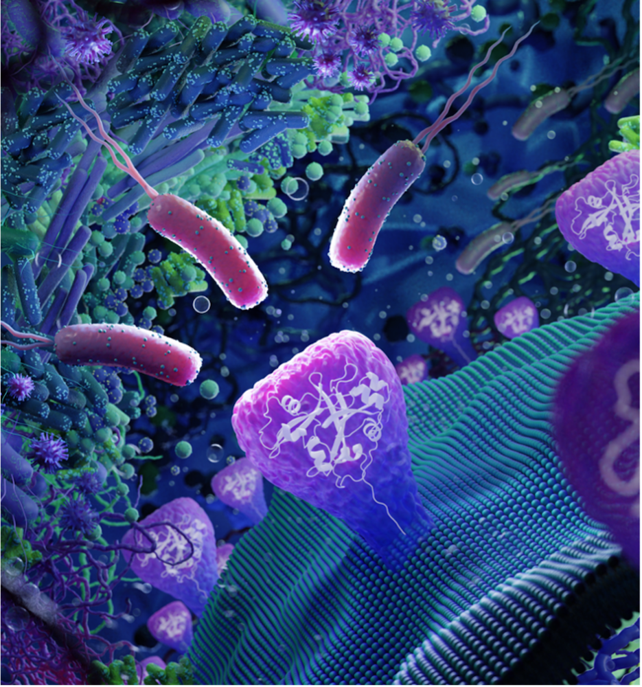 Scientists unlock secrets of surface receptor activation opening door ...
