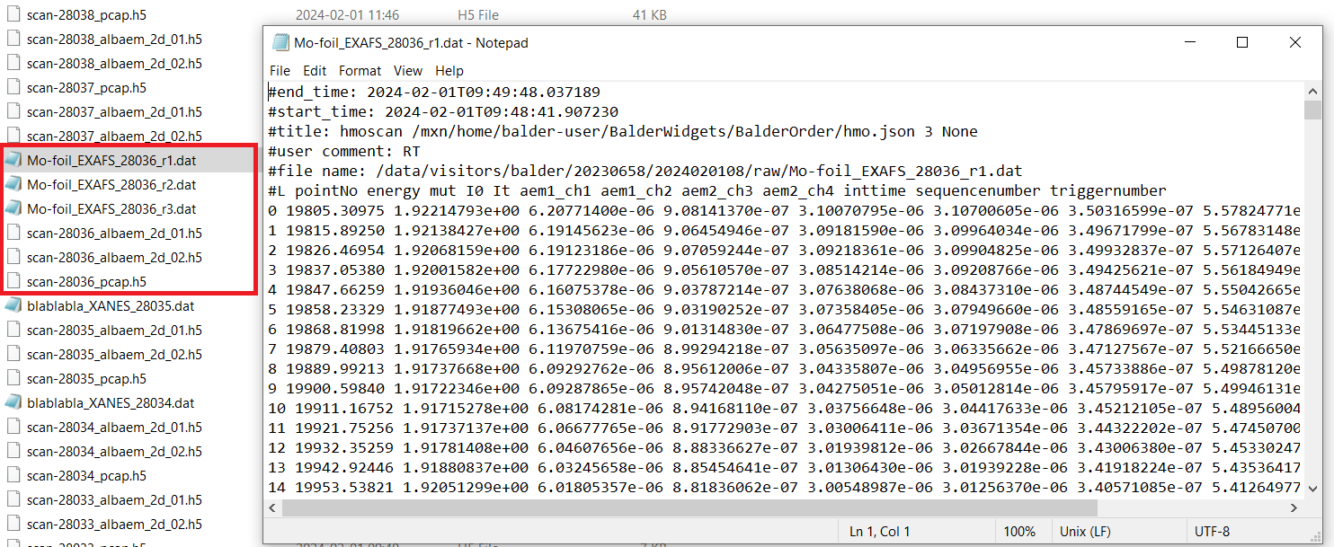 Data Handling Balder