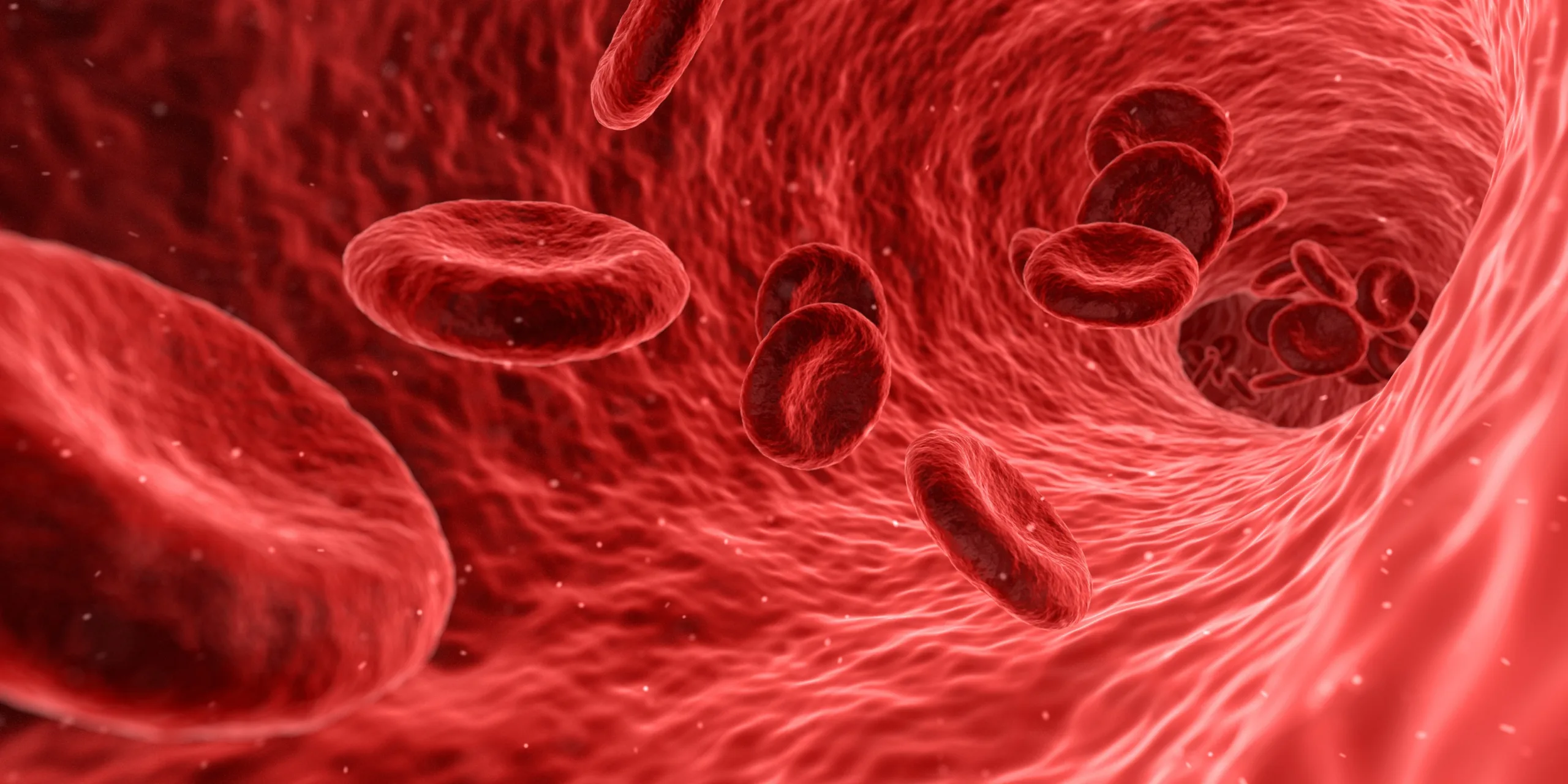 Gut bacteria and atomic structure tell the story of universal blood ...